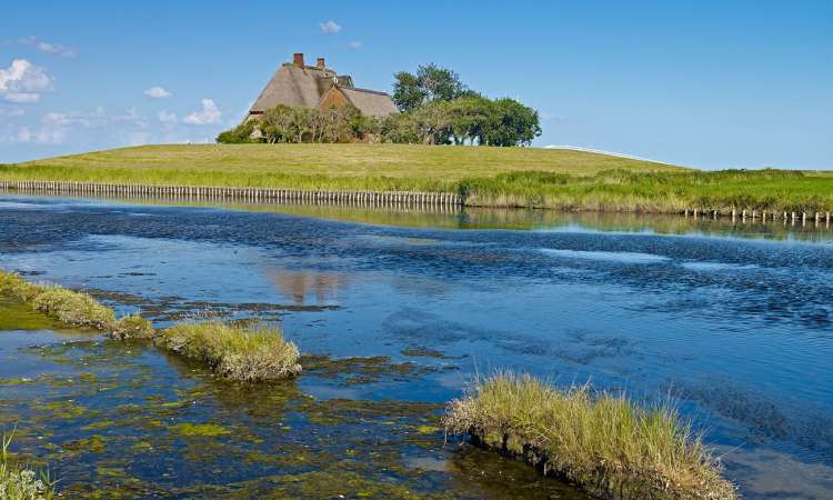 ‘Blissfully unhurried’: hopping around Germany’s ‘forgotten’ islands ...