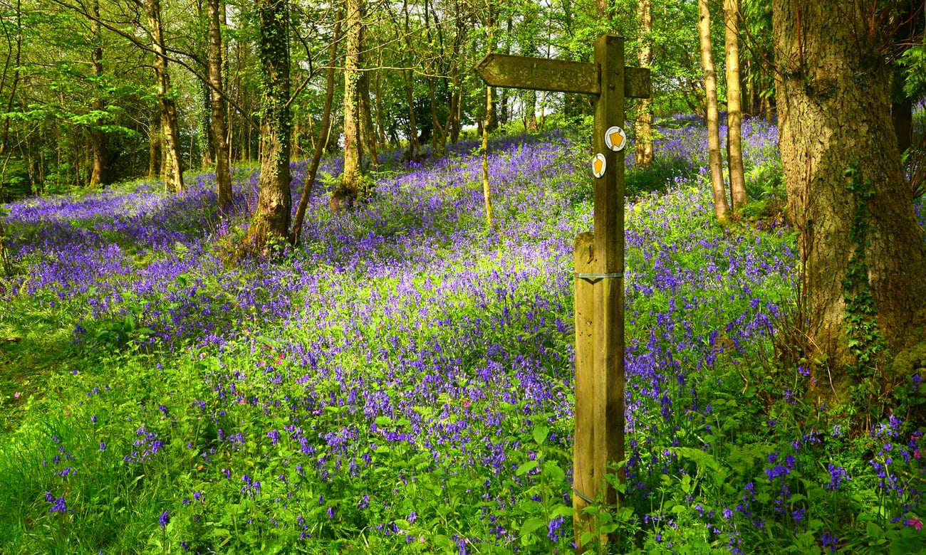 Top 10 spring walks in the UK – Julian Worker Travel – A few ideas for ...